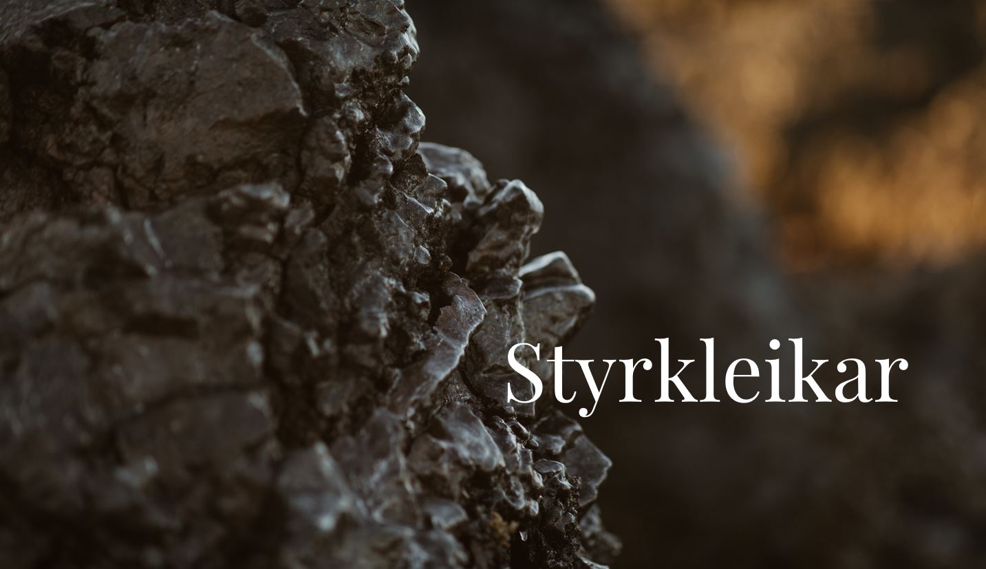 Styrkleikar og starfsorka - Saga Story House